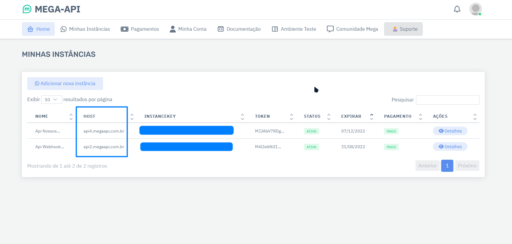 Mega-api Docs - Sua Solução para Integração com WhatsApp