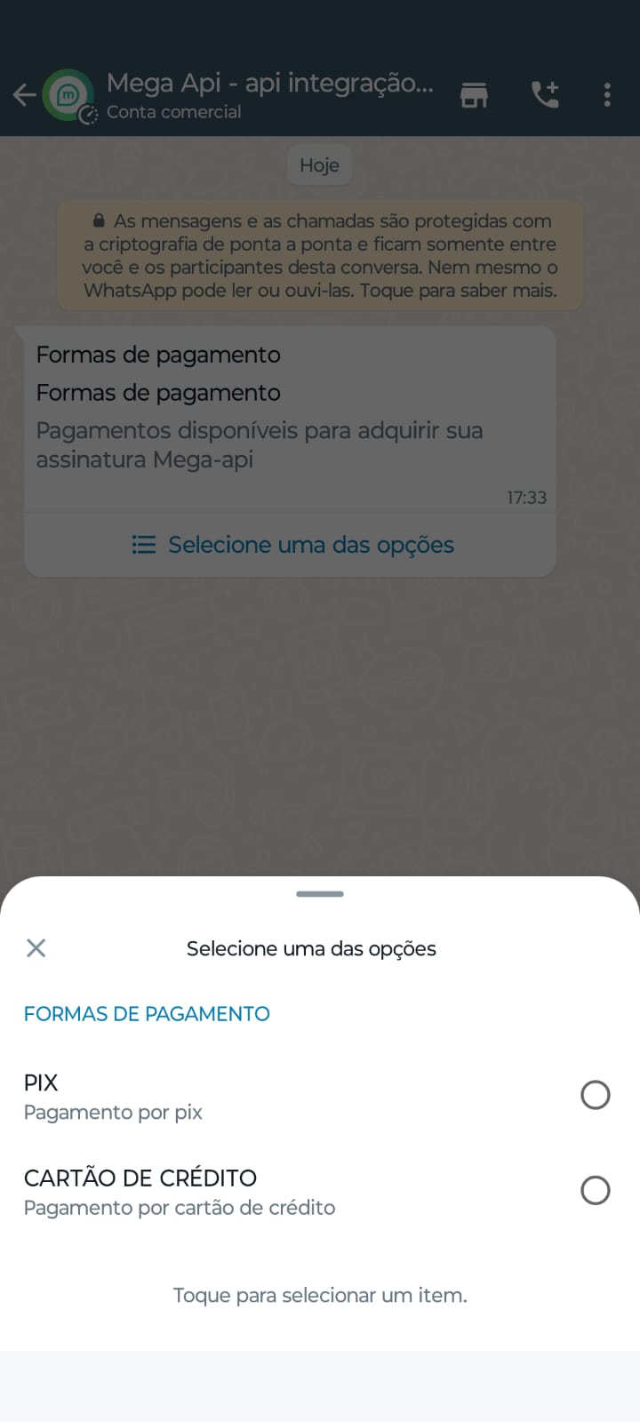 Mega-api Docs - Sua Solução para Integração com WhatsApp